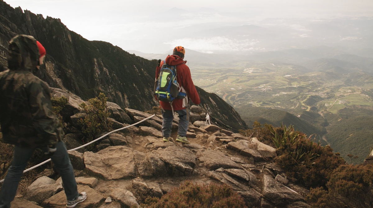 Iso-Alpha | Natural Brain Supplement for Focus, Mood & Mental Clarity